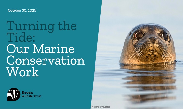 Our Oceans need Protection........ - Coastwise North Devon